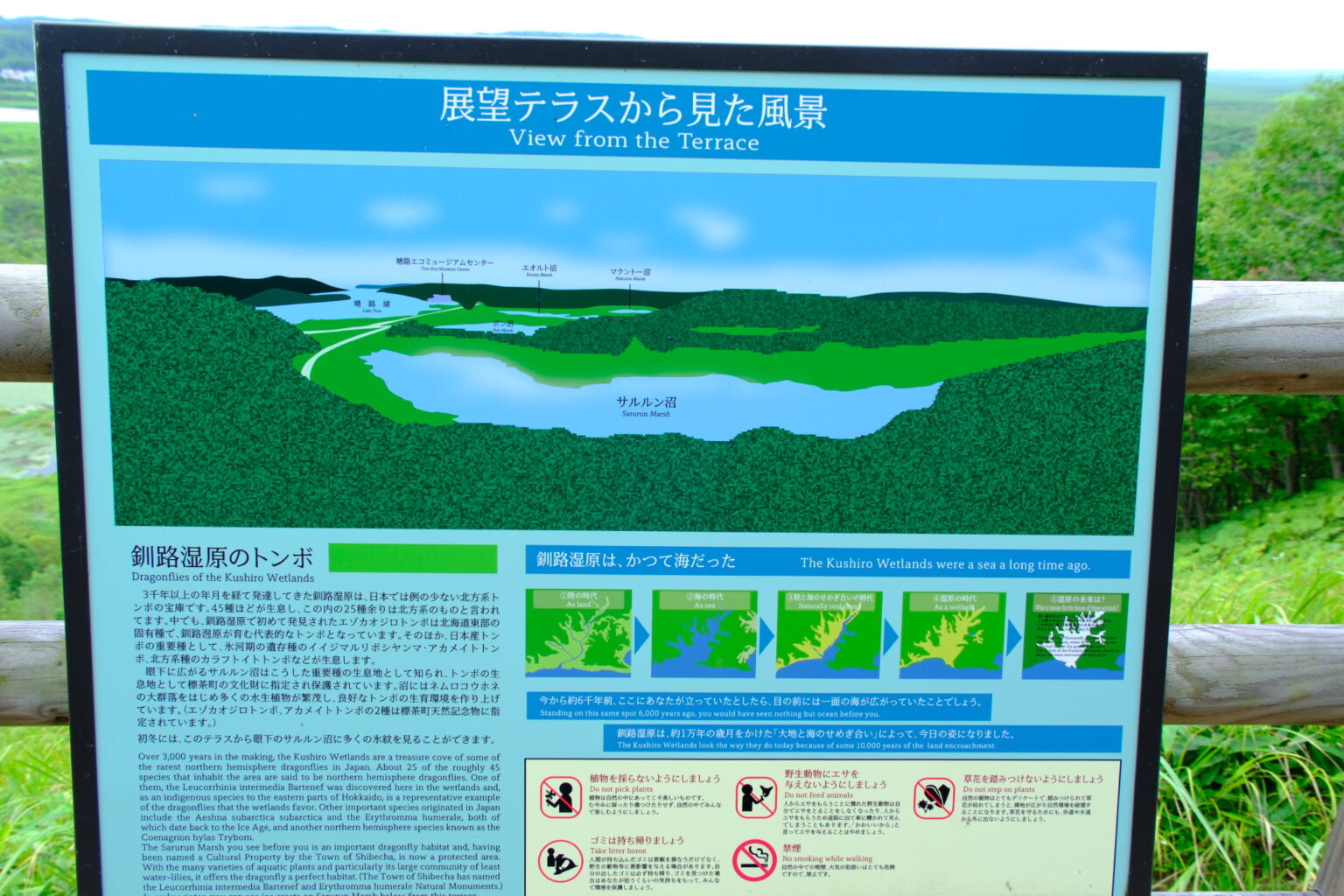 Kushiro Wetlands: Explore Japan’s Largest Wetland Through Scenic ...